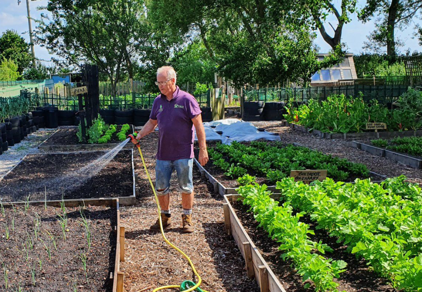 About – Bridge Inn Community Farm